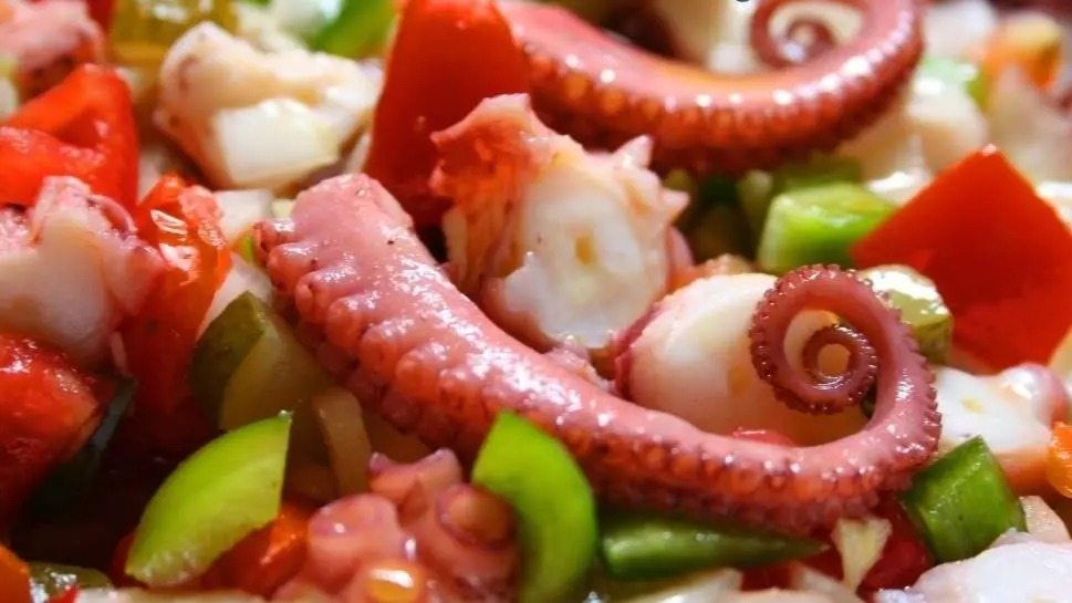 Pulpo Rojo Del Pacífico Oriental: Qué Es Y Dónde Habita – WDXO